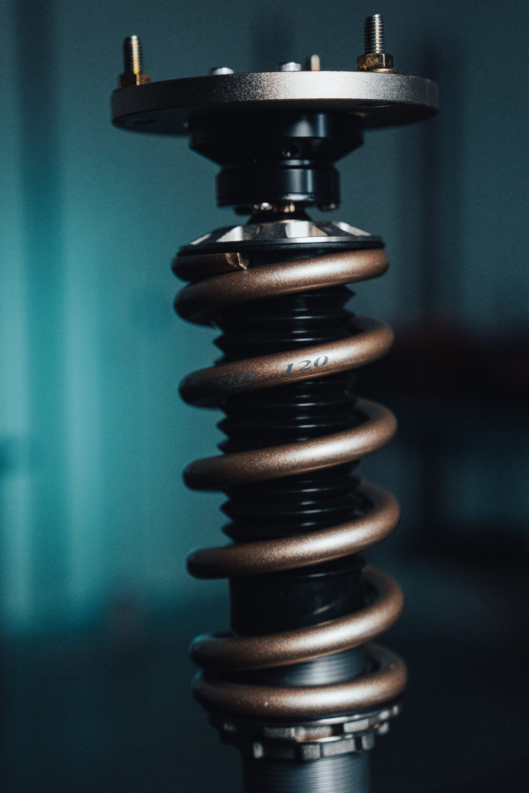 BC Racing DS Series Coilover - 15- Mustang (W/O Magneride) S550