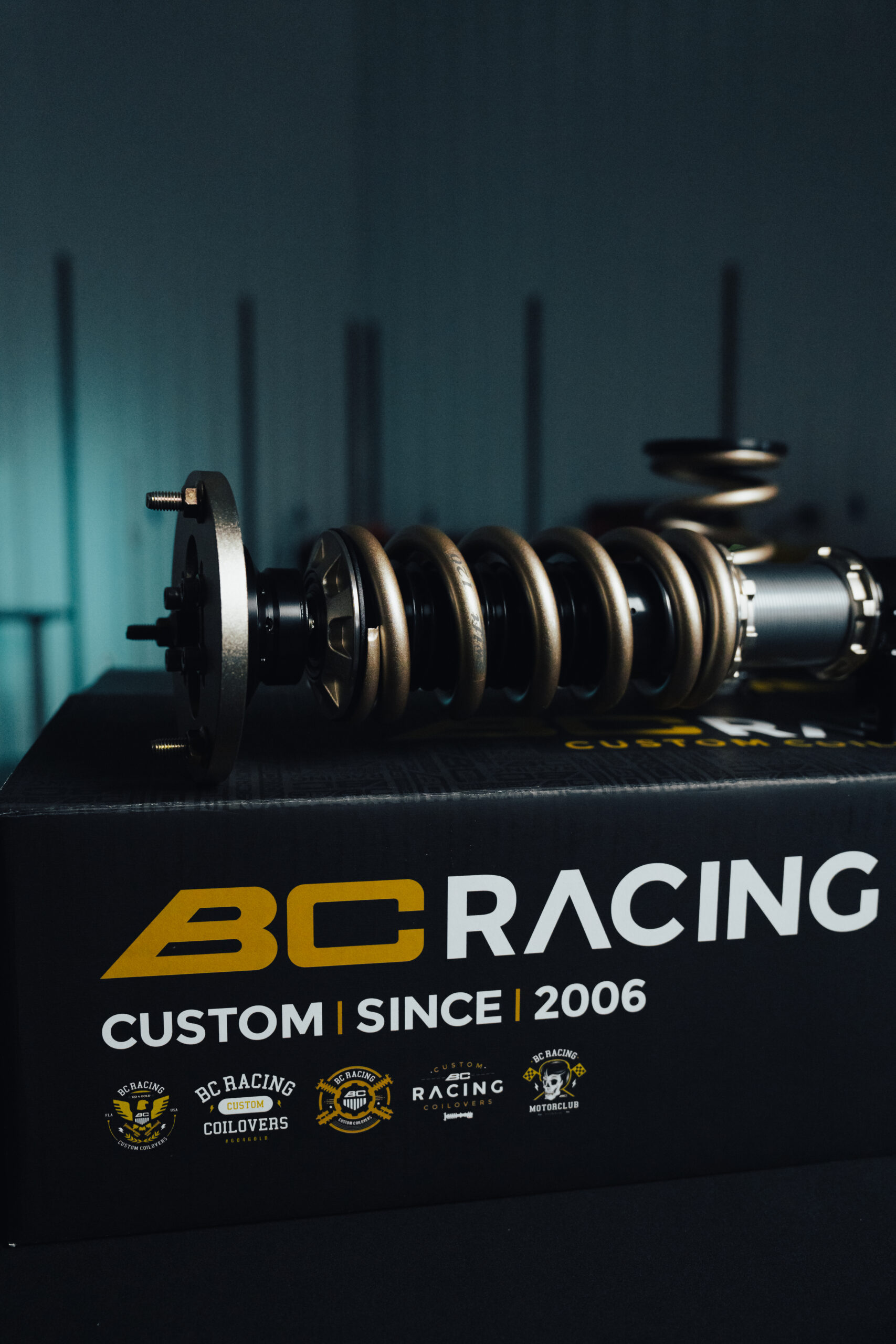BC Racing DS Series Coilover - 15- Mustang (W/O Magneride) S550